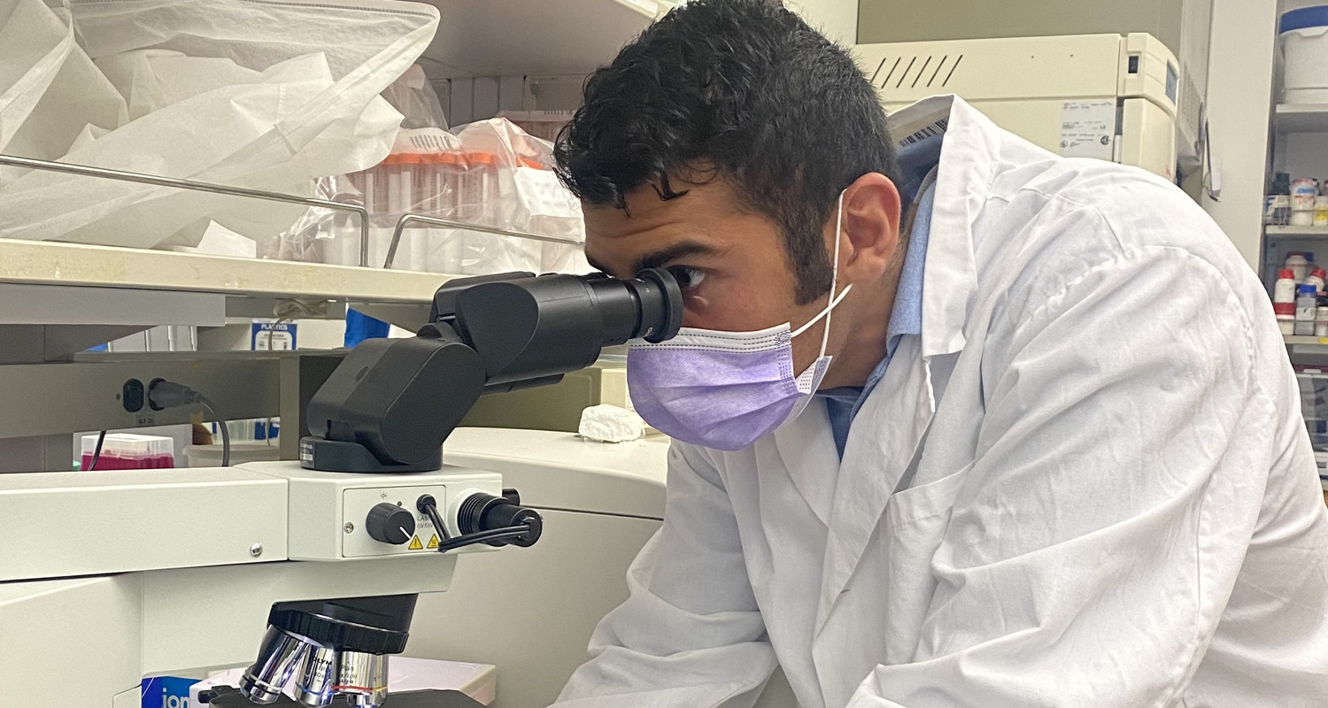 Photo Gallery | Yang Research Lab